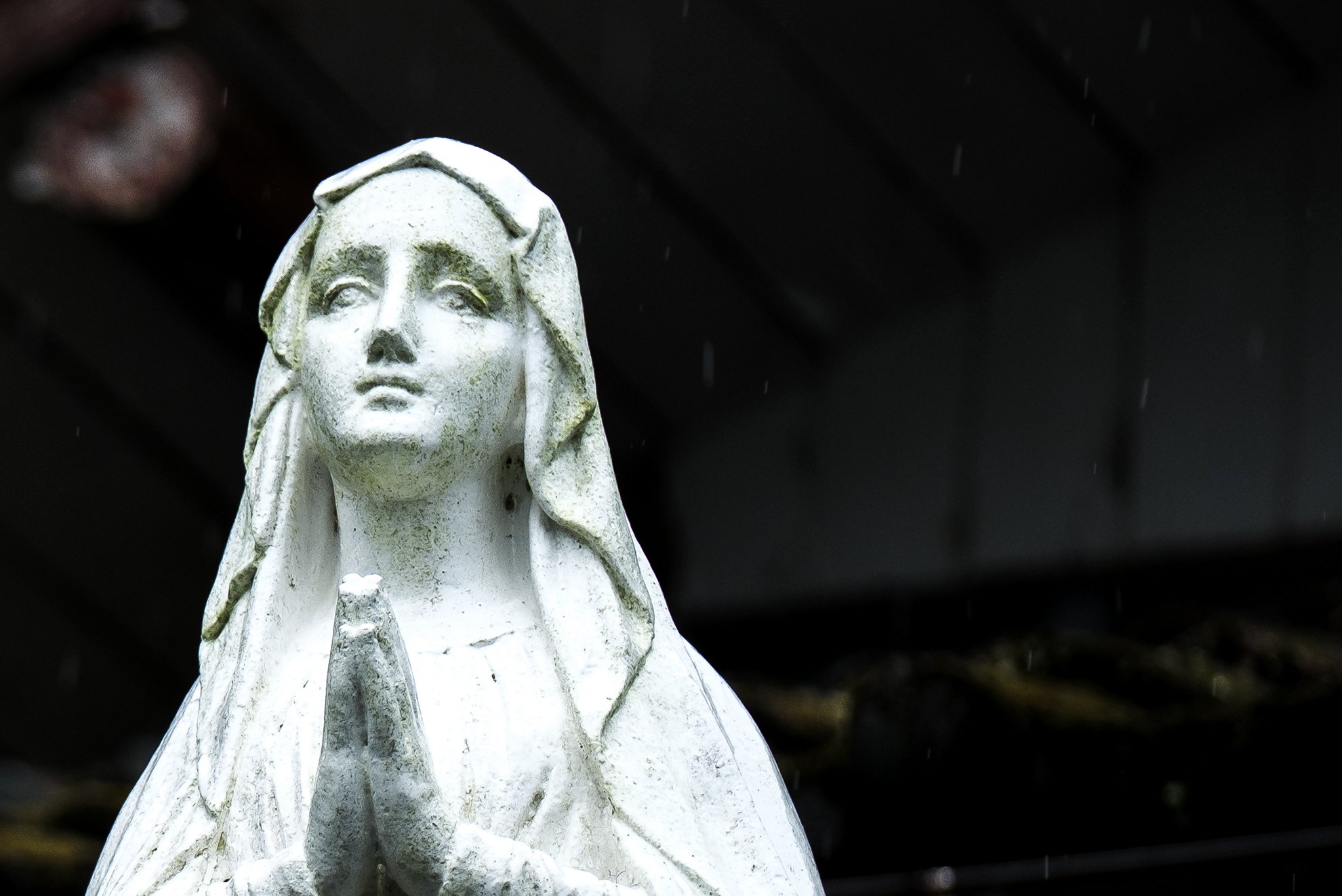 Dialogue With Mary_熊本県_2025｜Dialogue With Mary @shinya-hirose