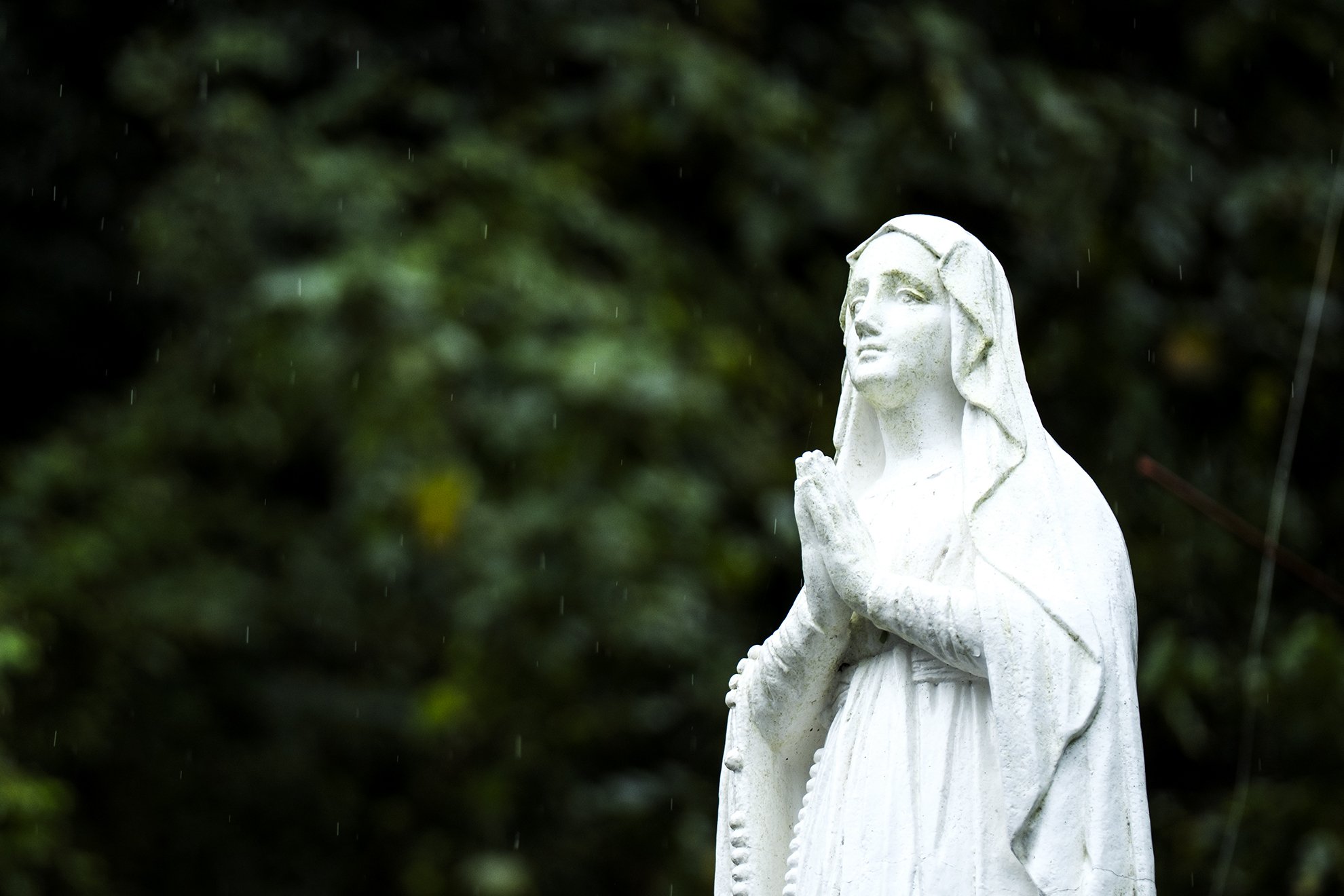 Dialogue With Mary_熊本県_2025｜Dialogue With Mary @shinya-hirose