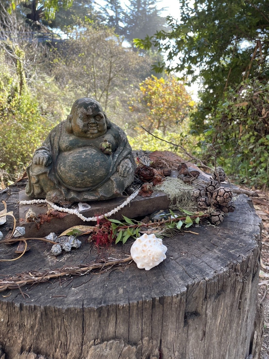 エサレン研究所に行ってきました｜横山 美咲＠コロンビア教育大学院