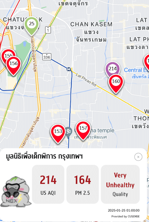 【バンコク生活はサバイバル】虫・大気汚染・鳩…バンコク留学生の生き延び方｜beck