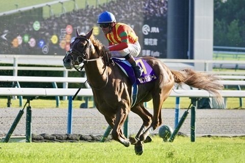 【2025 アメリカJCC（G2）】～予想篇｜Haya