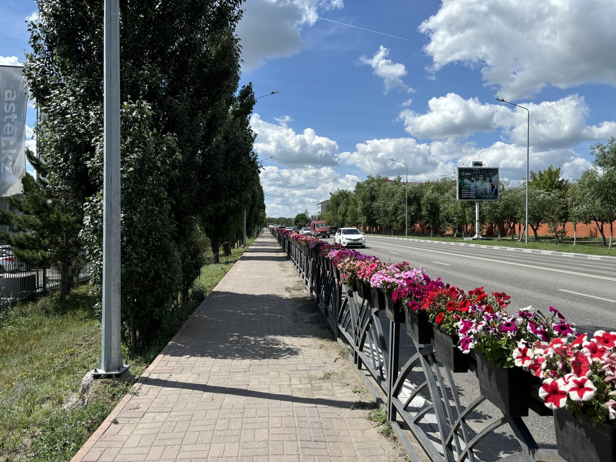 【カザフスタン🇰🇿での日々】 自転車100km｜toshio