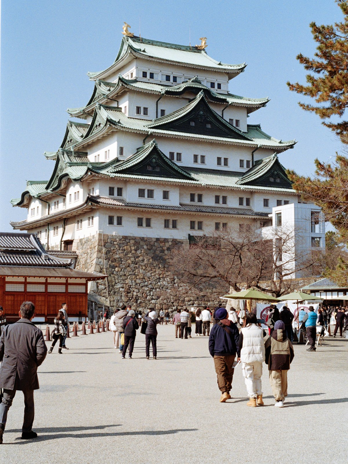 Negative Lab Proとお店データ化の比較｜ポッキー