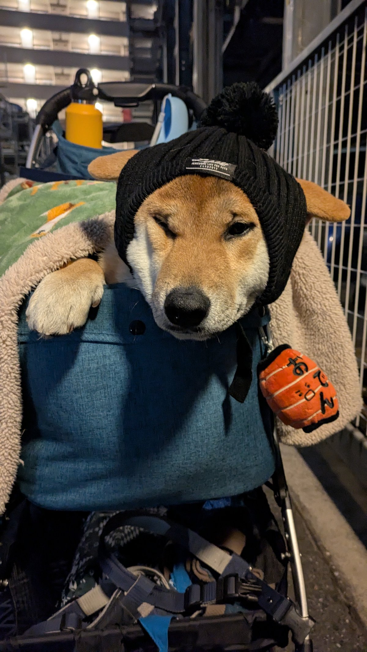 【かなめし旅日記】#01：湯河原編｜2025/1/25｜湊 美寿々｜Misuzu Minato