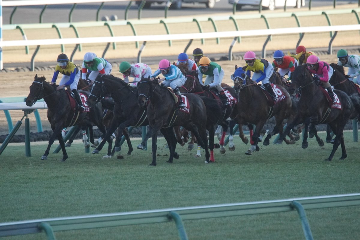 第66回 AJCC｜なか