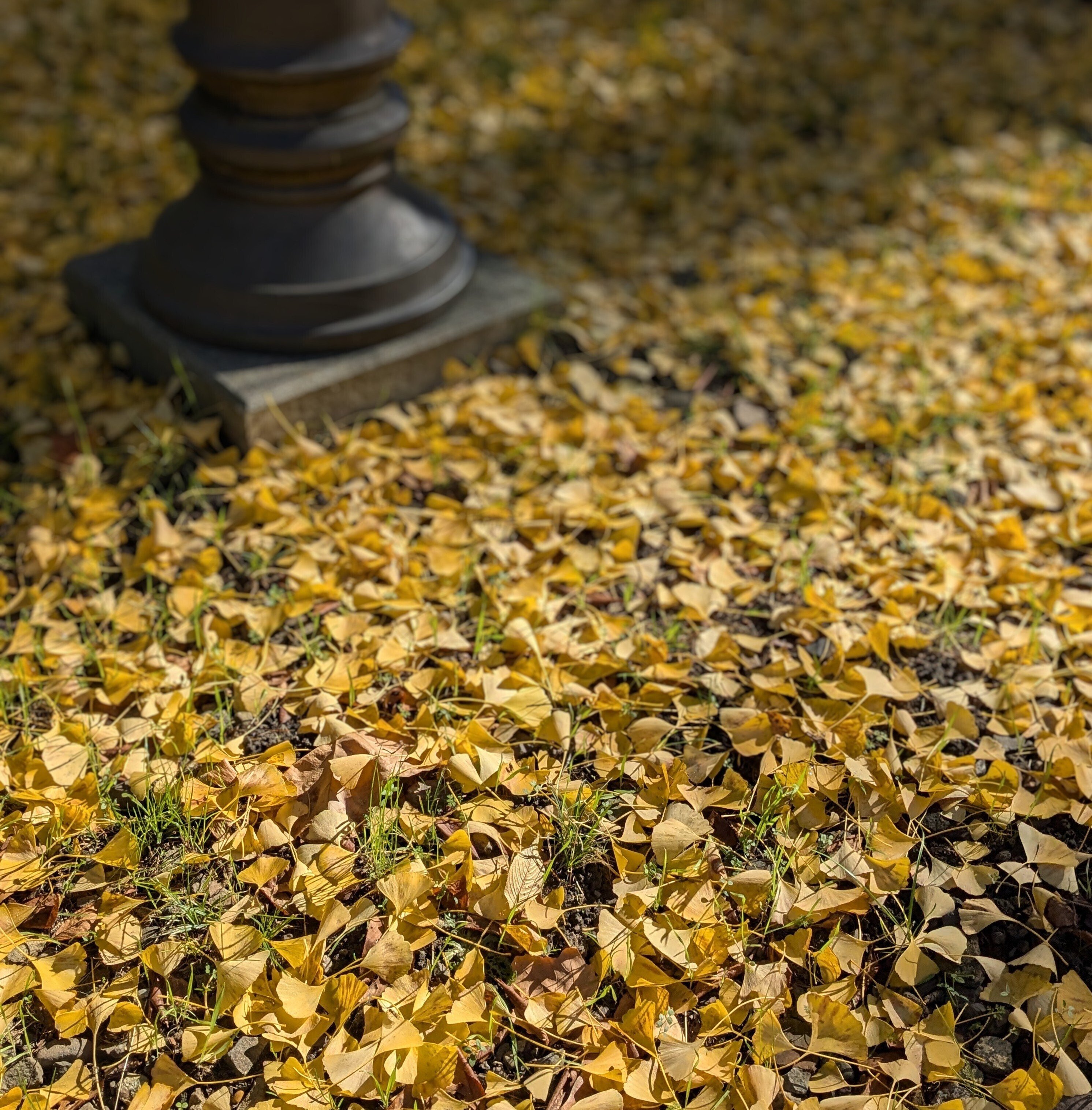 リストラのある風景｜mos