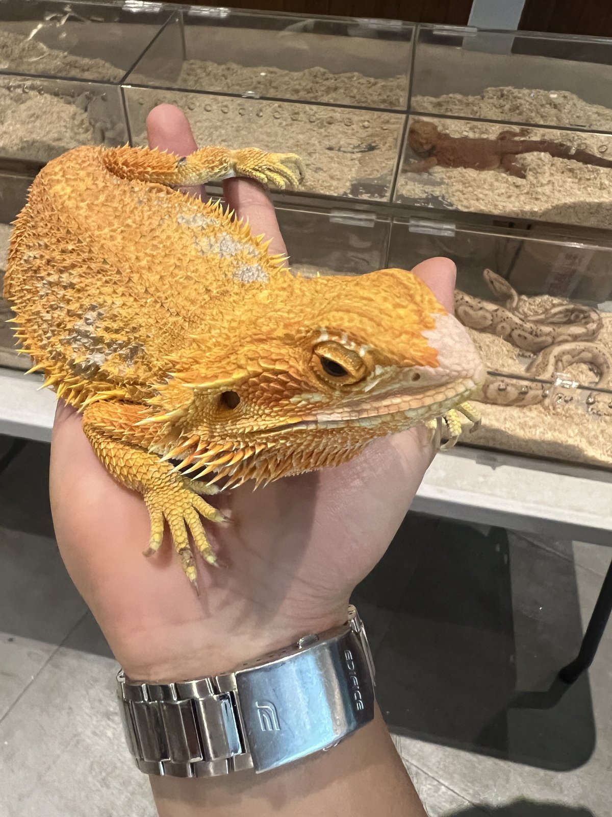 インドネシア赴任の日常 vol.4｜Tom Tally