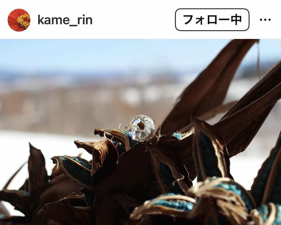 Muikku vol.6-食と空間を楽しむフォト講座編-を終えて｜くりやまカメラの会