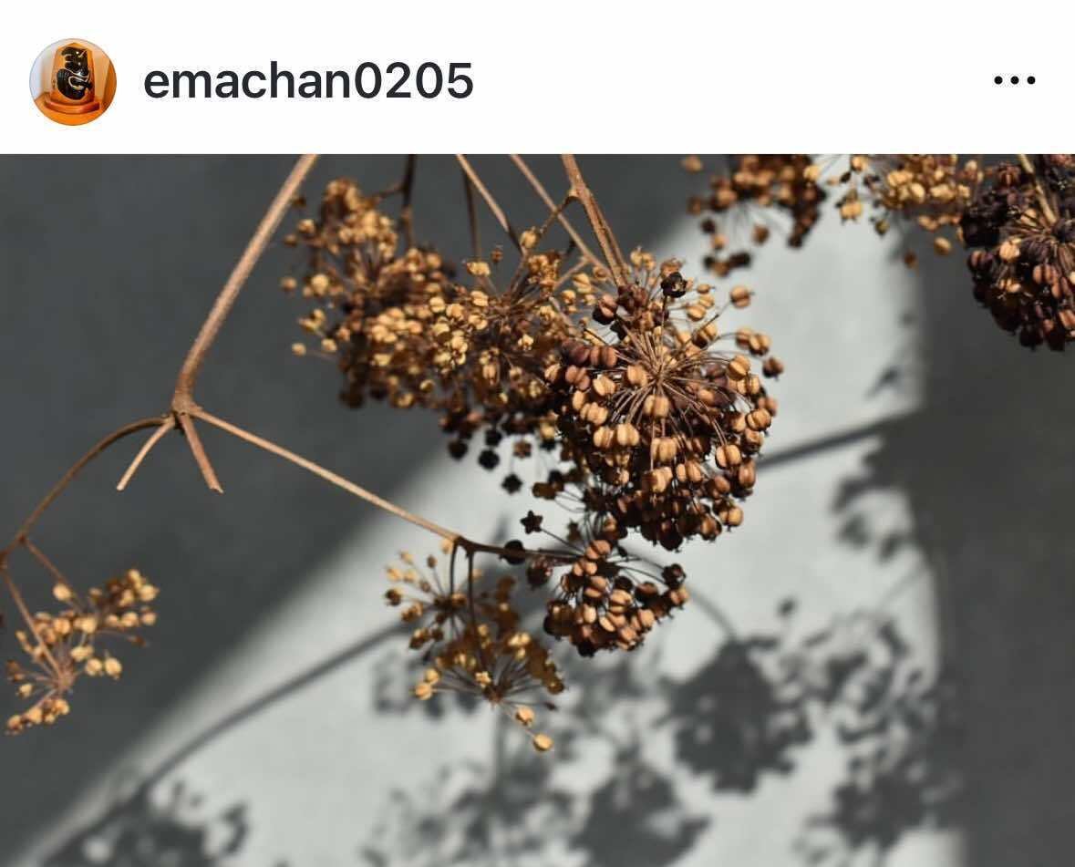 Muikku vol.6-食と空間を楽しむフォト講座編-を終えて｜くりやまカメラの会