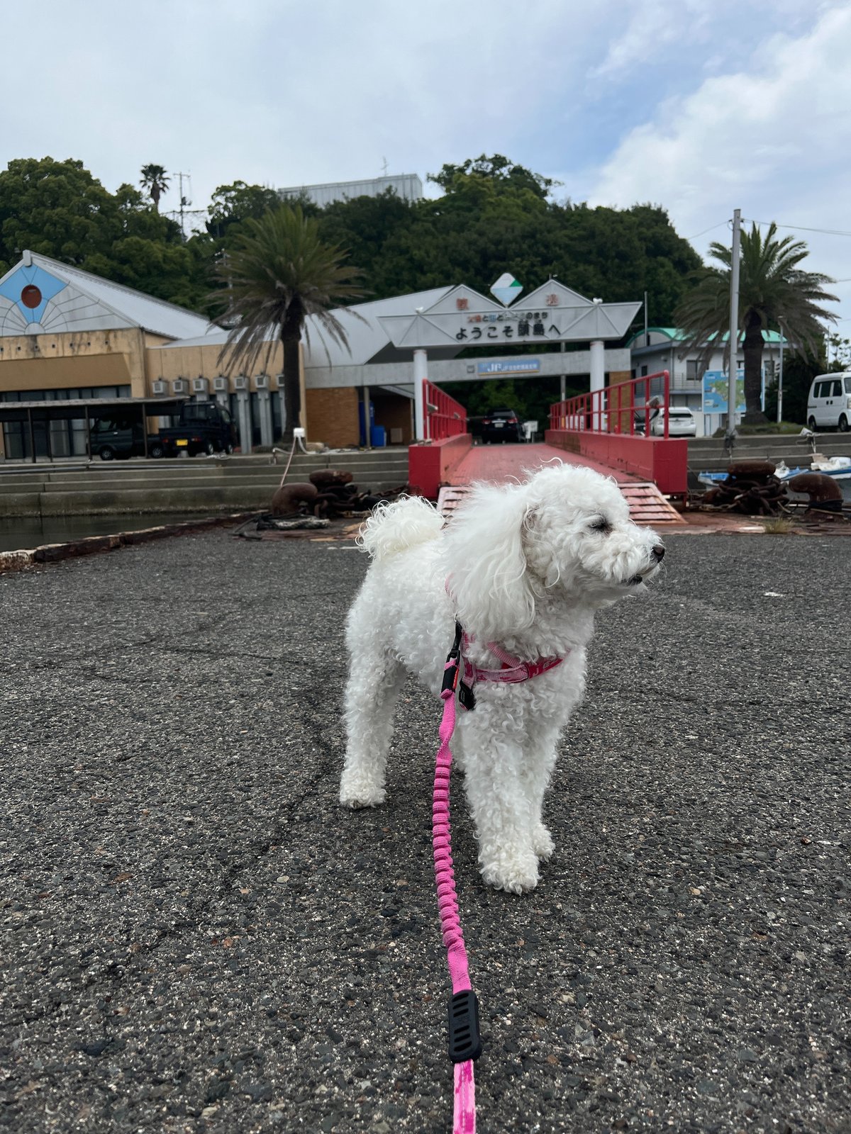 キャンピングカーの旅 日生カキおこ、日本一の駄菓子屋、桃太郎伝説、岡山城 20240522(車中泊25泊目)｜hiroaki maejima