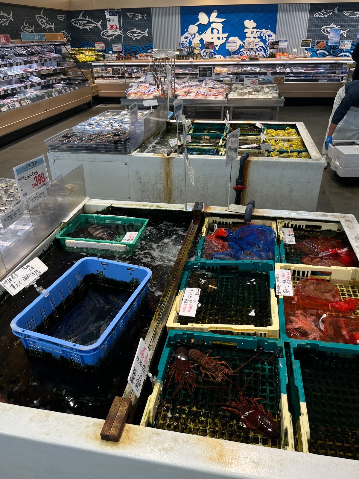 キャンピングカーの旅 日生カキおこ、日本一の駄菓子屋、桃太郎伝説、岡山城 20240522(車中泊25泊目)｜hiroaki maejima