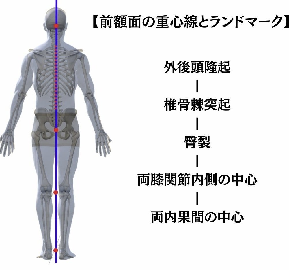 姿勢分類について｜CoCoNet