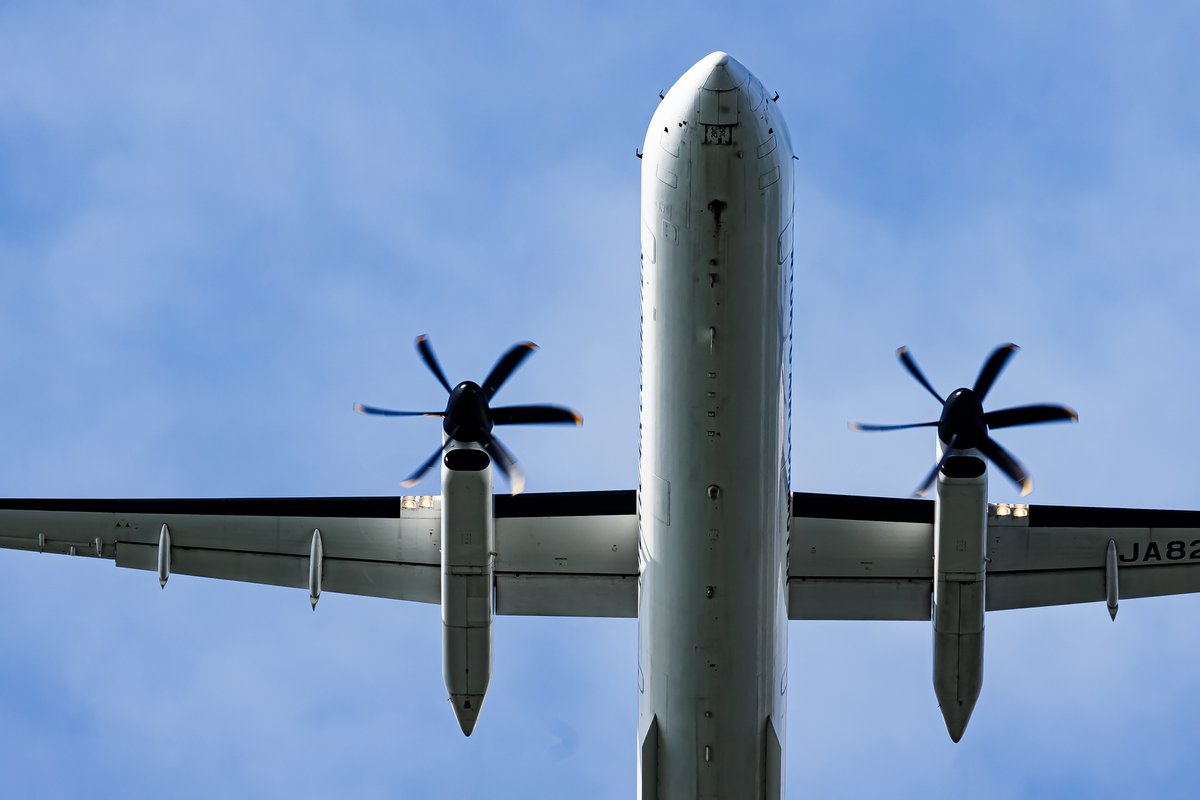 直近でレタッチした写真たち｜nasujin