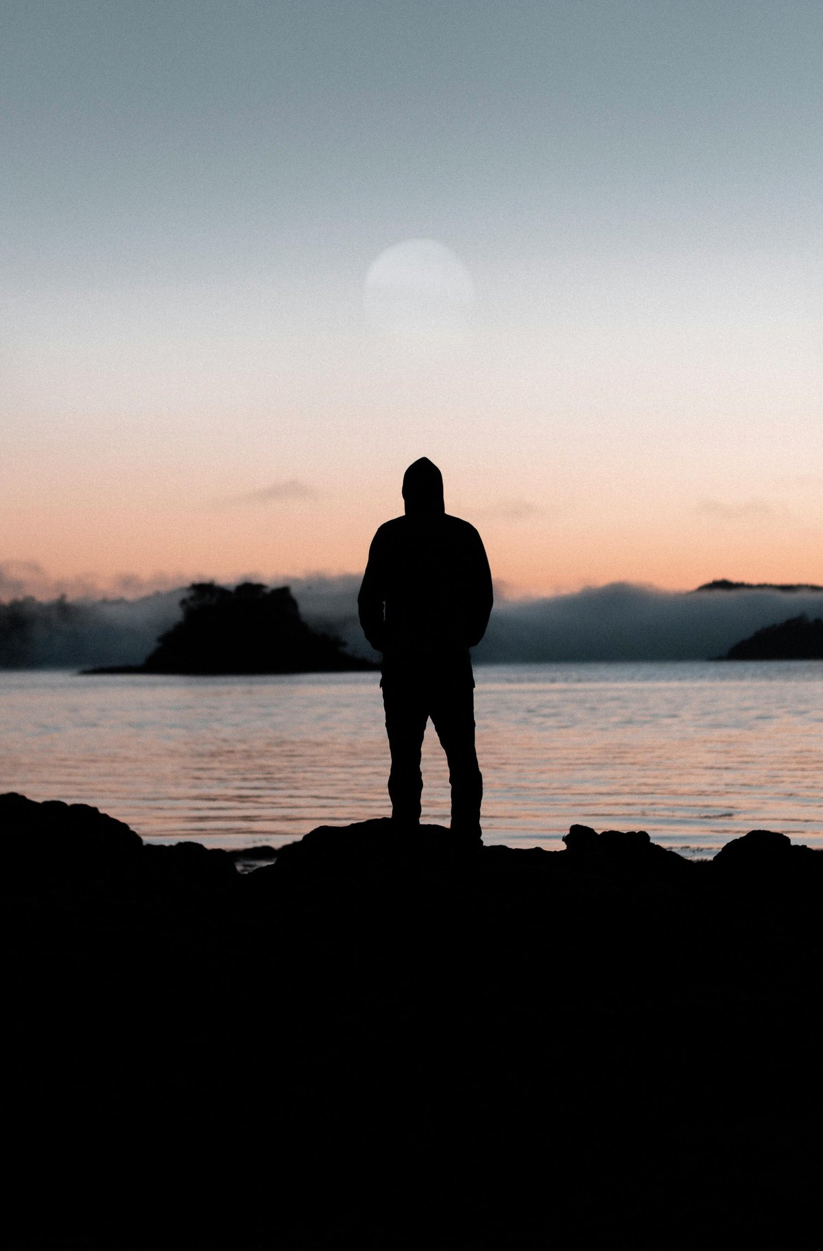 【6FTMethod】外伝 【体調管理の極意】最高の自分を引き出す科学的アプローチ 生活習慣 炎症 病気 体調 治癒｜6FT Method 【公式】