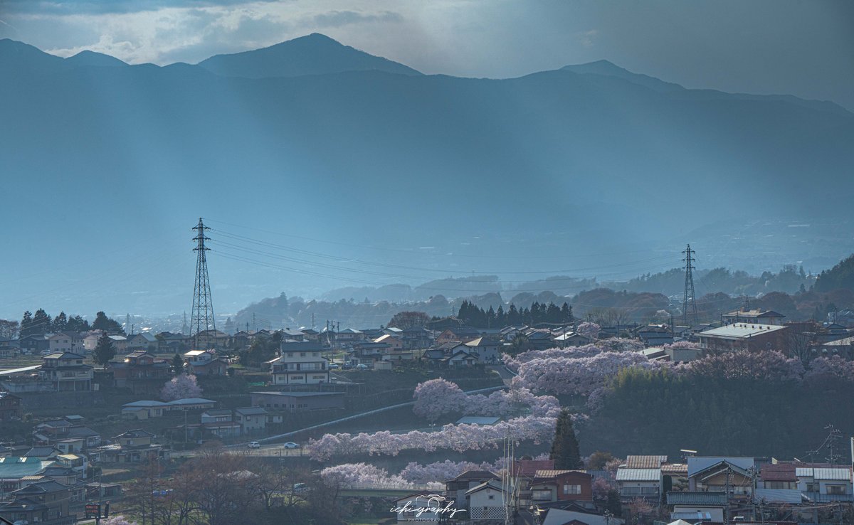 カメラ小僧が行って良かった桜スポット🌸その1｜ichi_graphy