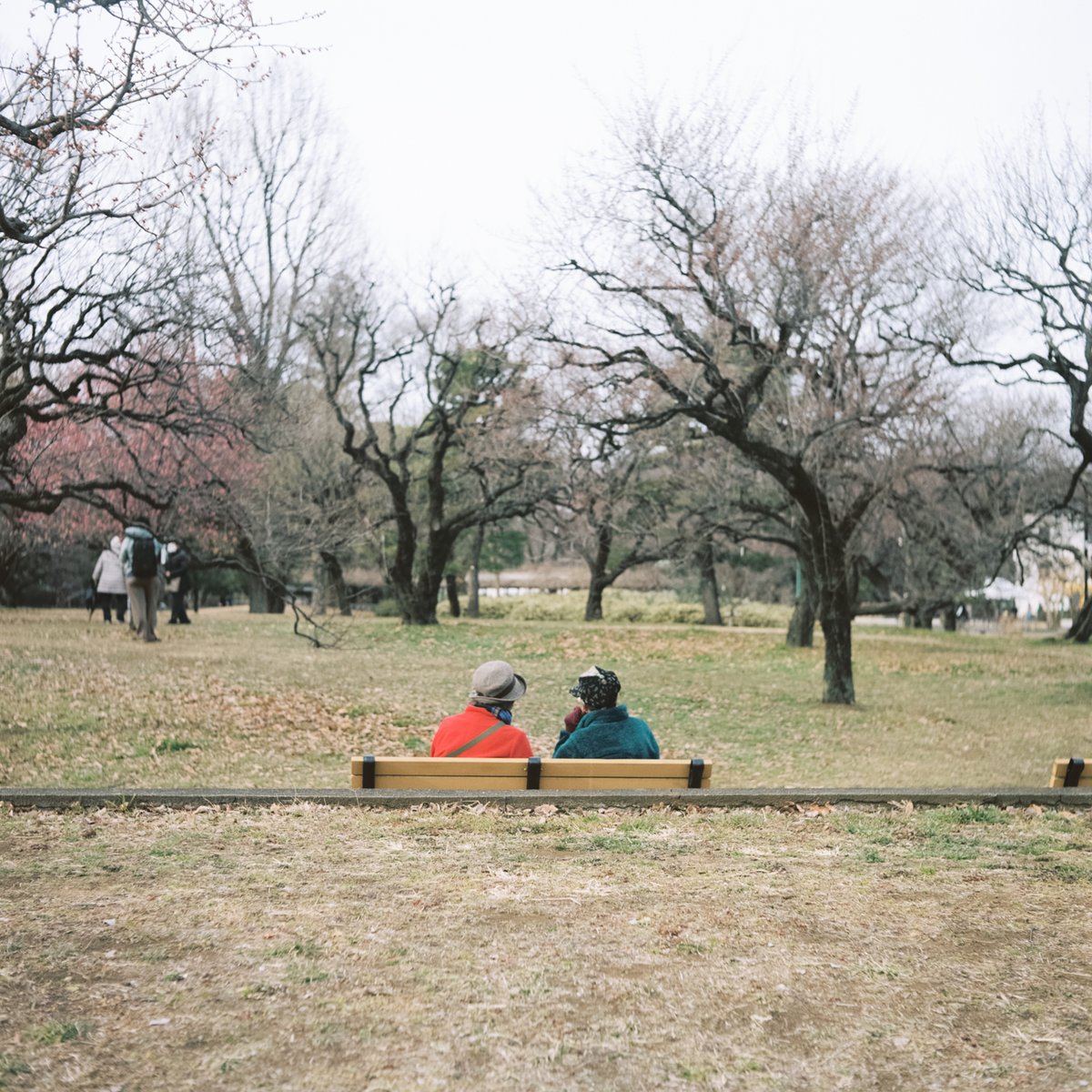 【作例あり】国産二眼レフの名機、MINOLTA Autocord買ってみた｜Motoki Endo