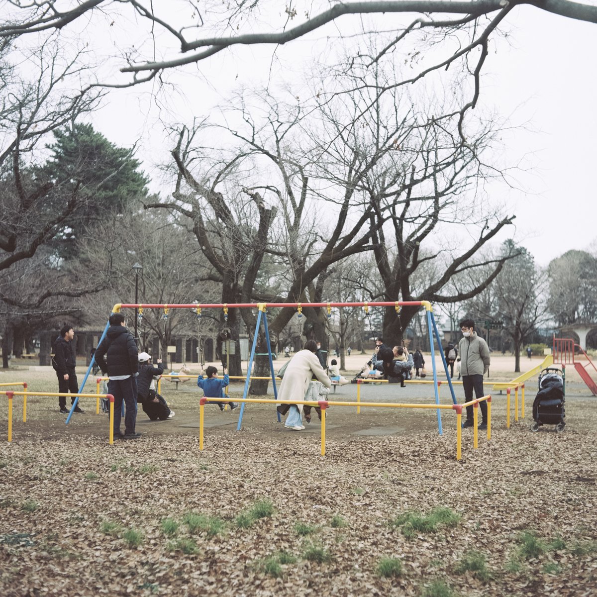 【作例あり】国産二眼レフの名機、MINOLTA Autocord買ってみた｜Motoki Endo