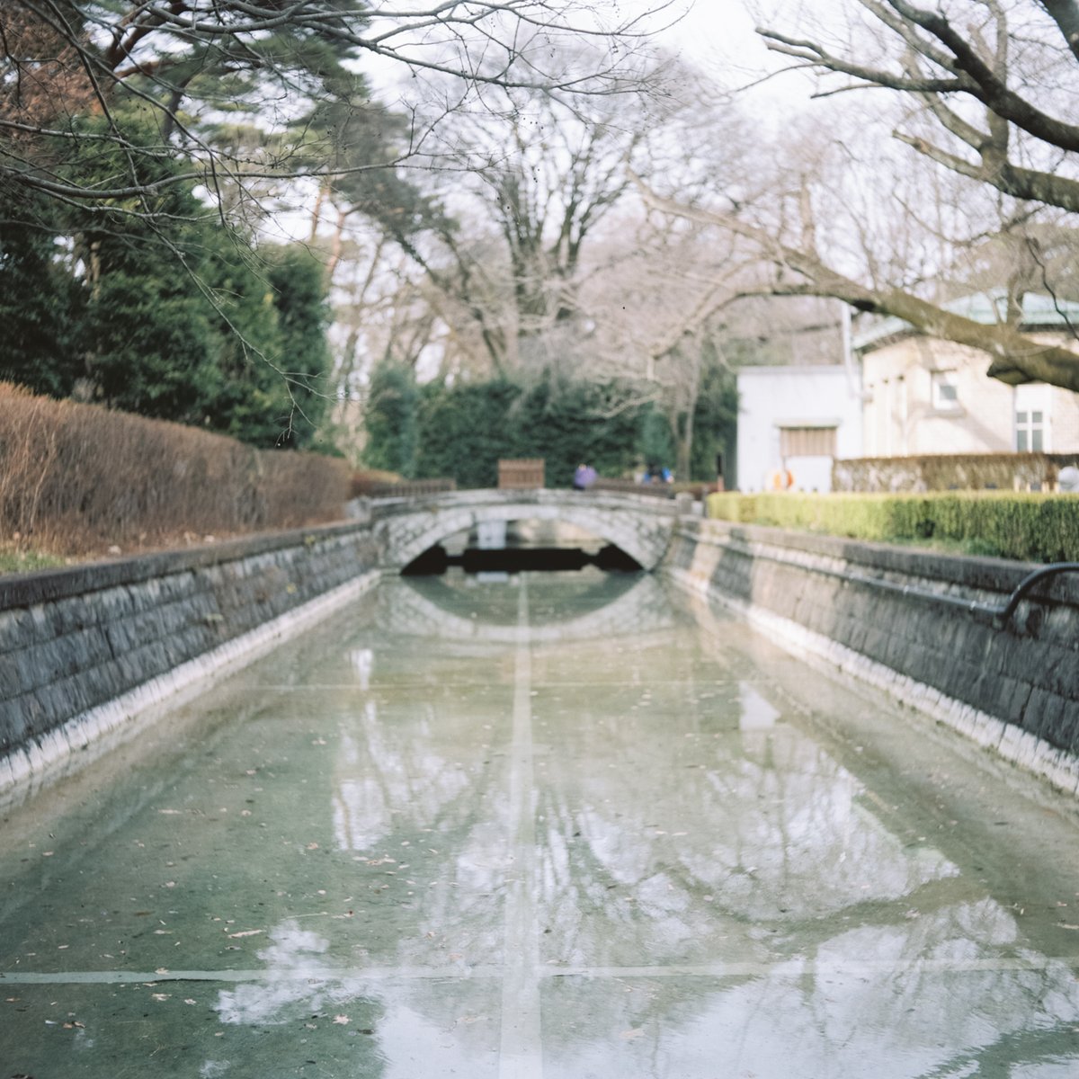 【作例あり】国産二眼レフの名機、MINOLTA Autocord買ってみた｜Motoki Endo