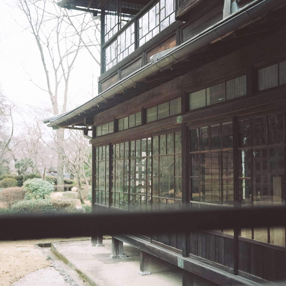 【作例あり】国産二眼レフの名機、MINOLTA Autocord買ってみた｜Motoki Endo