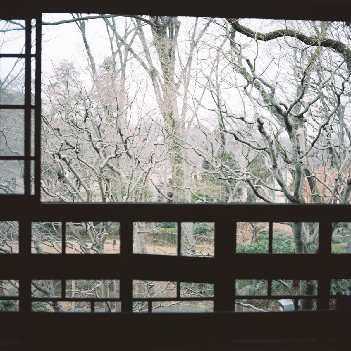 【作例あり】国産二眼レフの名機、MINOLTA Autocord買ってみた｜Motoki Endo