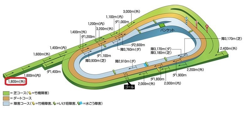 京都芝1800mの傾向【2025年】｜回収率100%超えの条件、枠は？｜渾身@回収率競馬