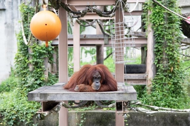 趣味が続かない理由①成長が見えなくて挫折｜永田 健人(Kento Nagata)