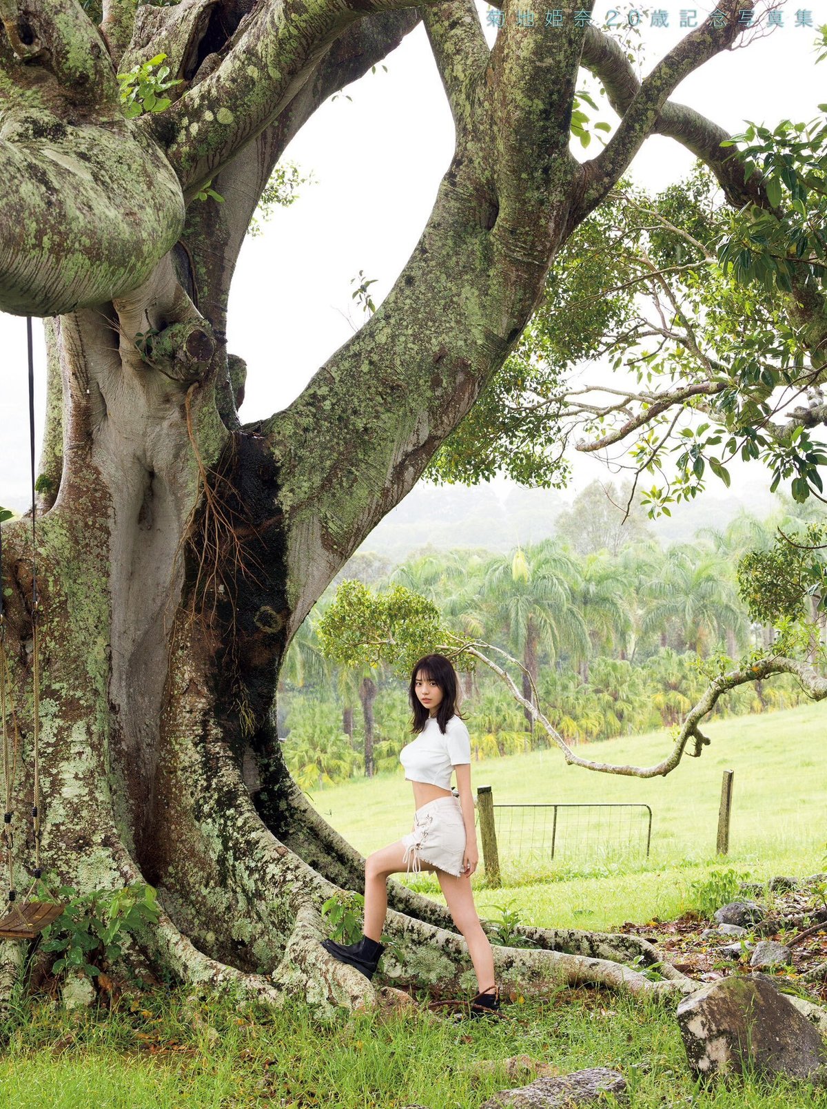 ★★เปิดจอง Kikuchi Hina 20th Birthday Photo Book 「memory」 (3rd PB)★★｜artozaka46