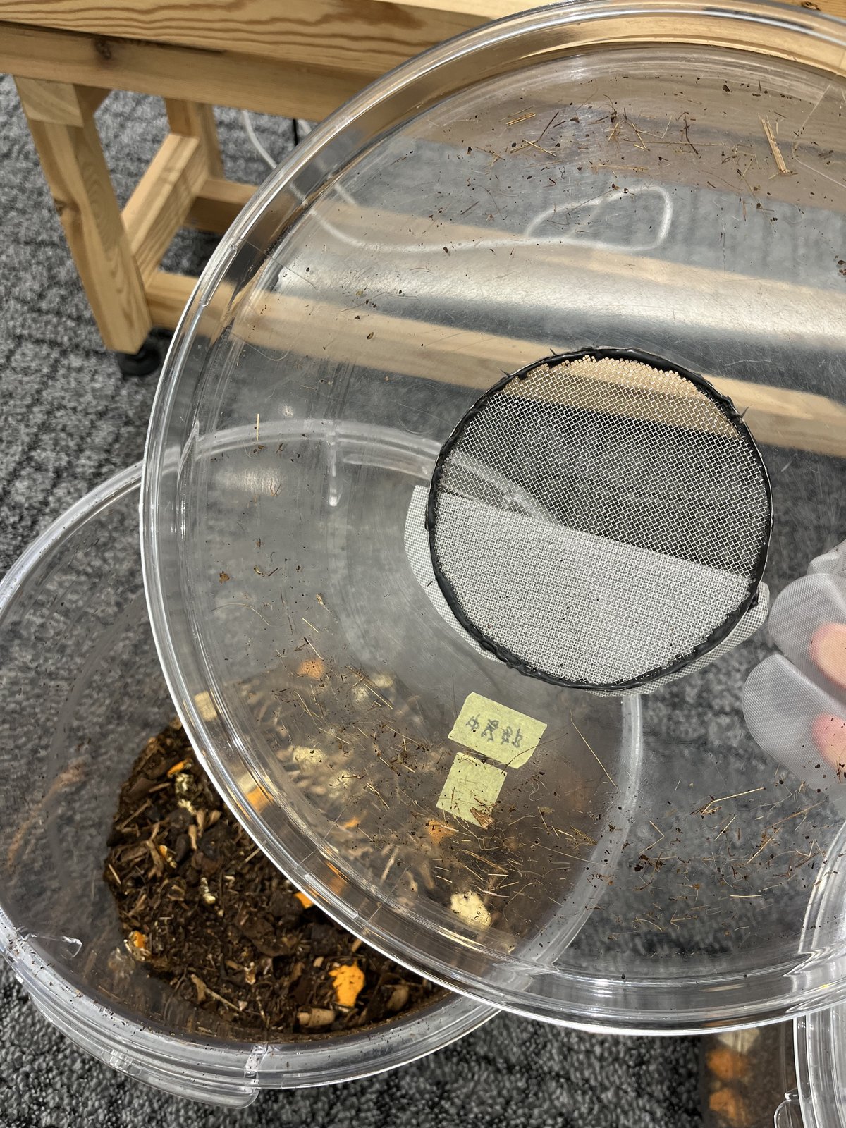 【毎週更新】🥬コンポスト日記📝（1月27日週）｜Keio Museum Commons (慶應義塾ミュージアム・コモンズ)