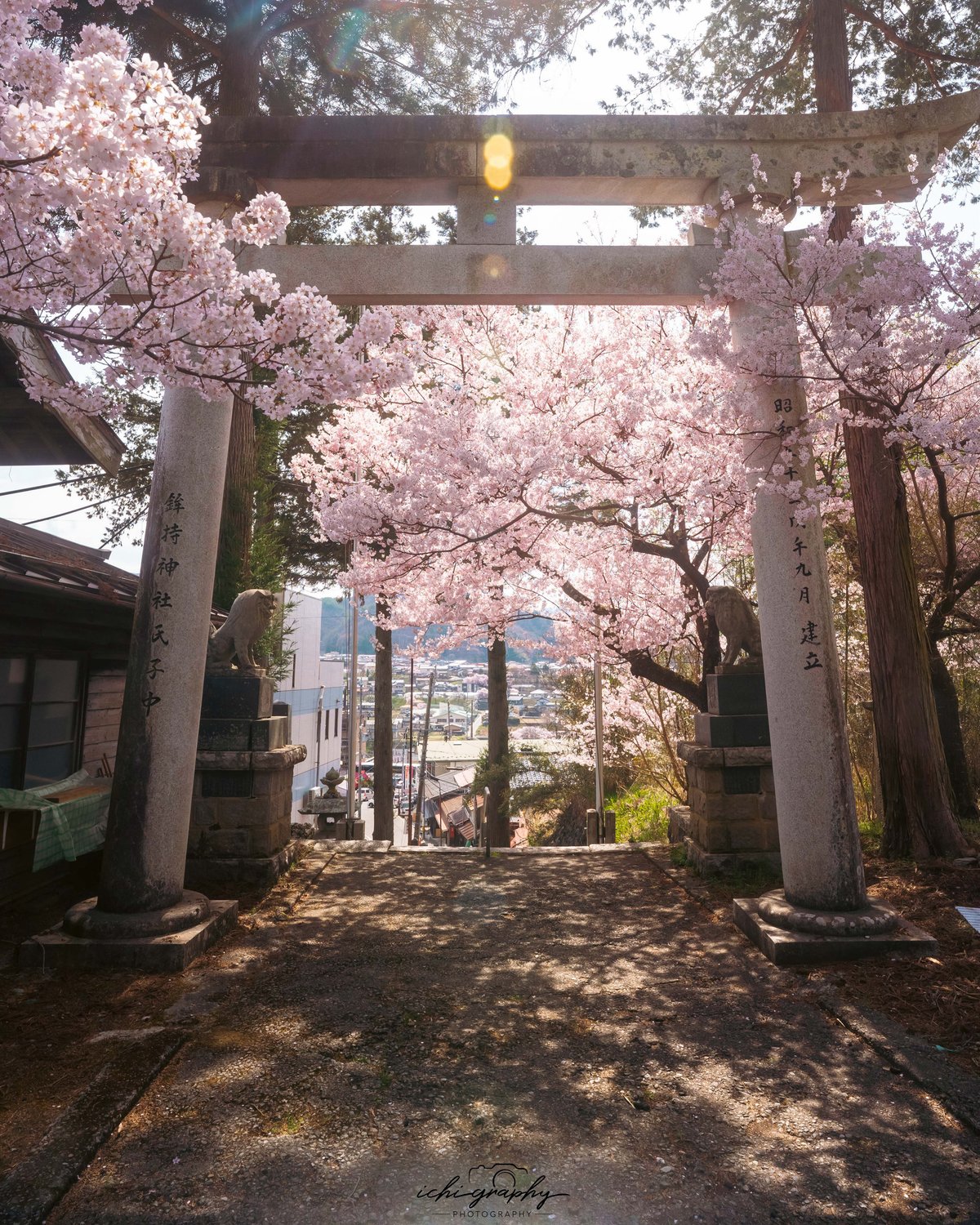 三脚で縦構図も横構図もこれで完璧😍👌｜ichi_graphy
