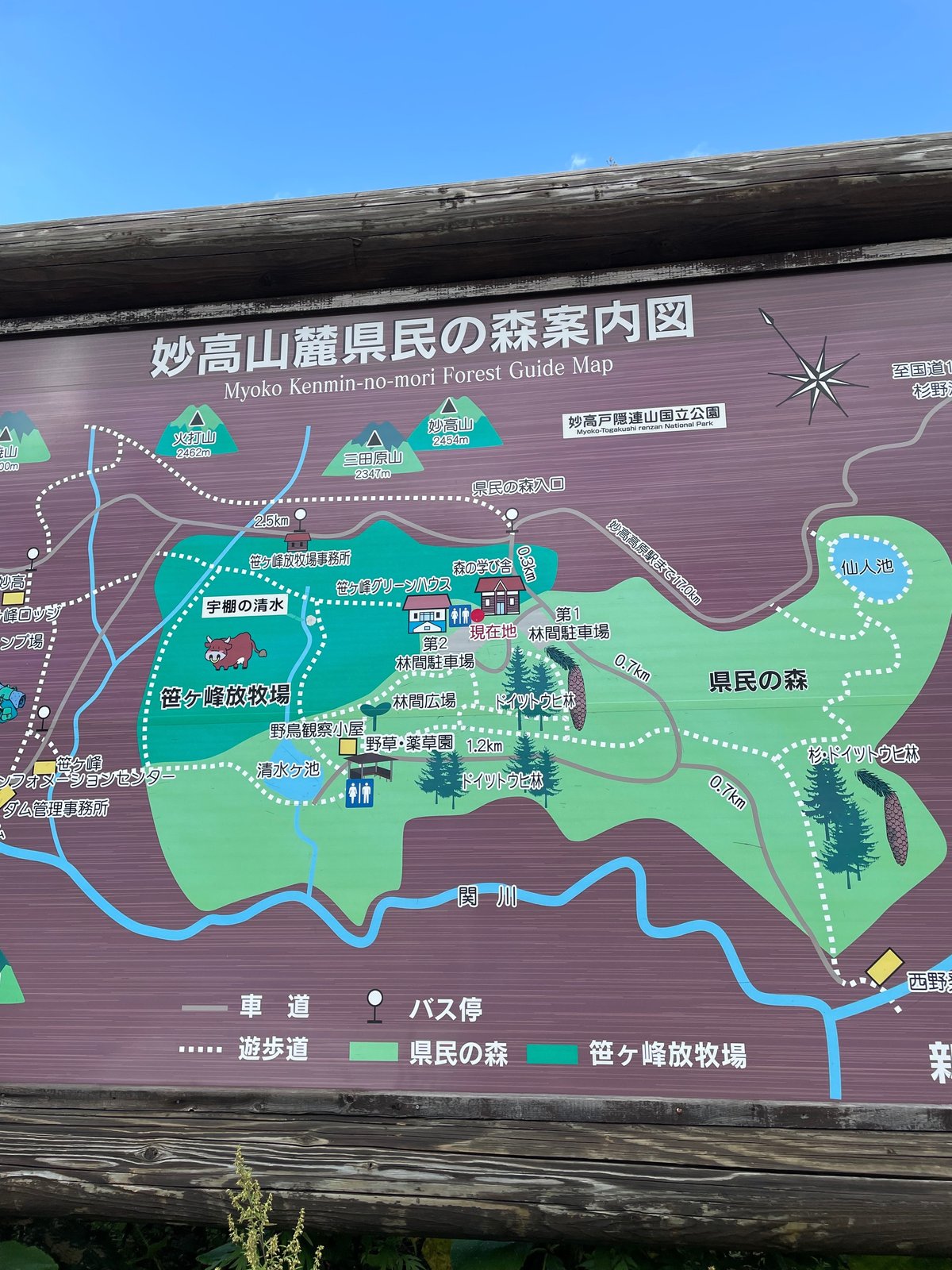 2023.09【新潟】赤倉観光ホテル1日目（SPA&SUITE棟）｜tomomo