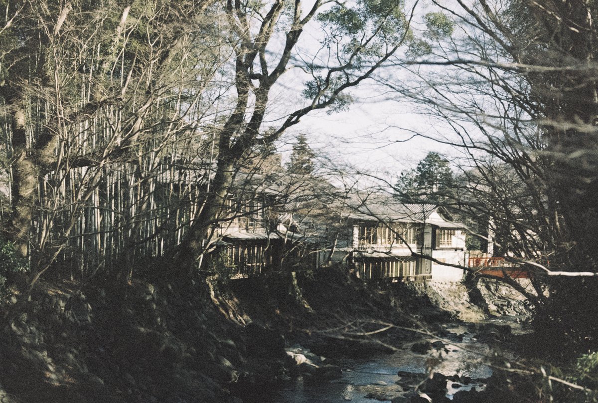 【作例あり】PHOTO DIARY vol.4 修善寺温泉 後編｜Motoki Endo