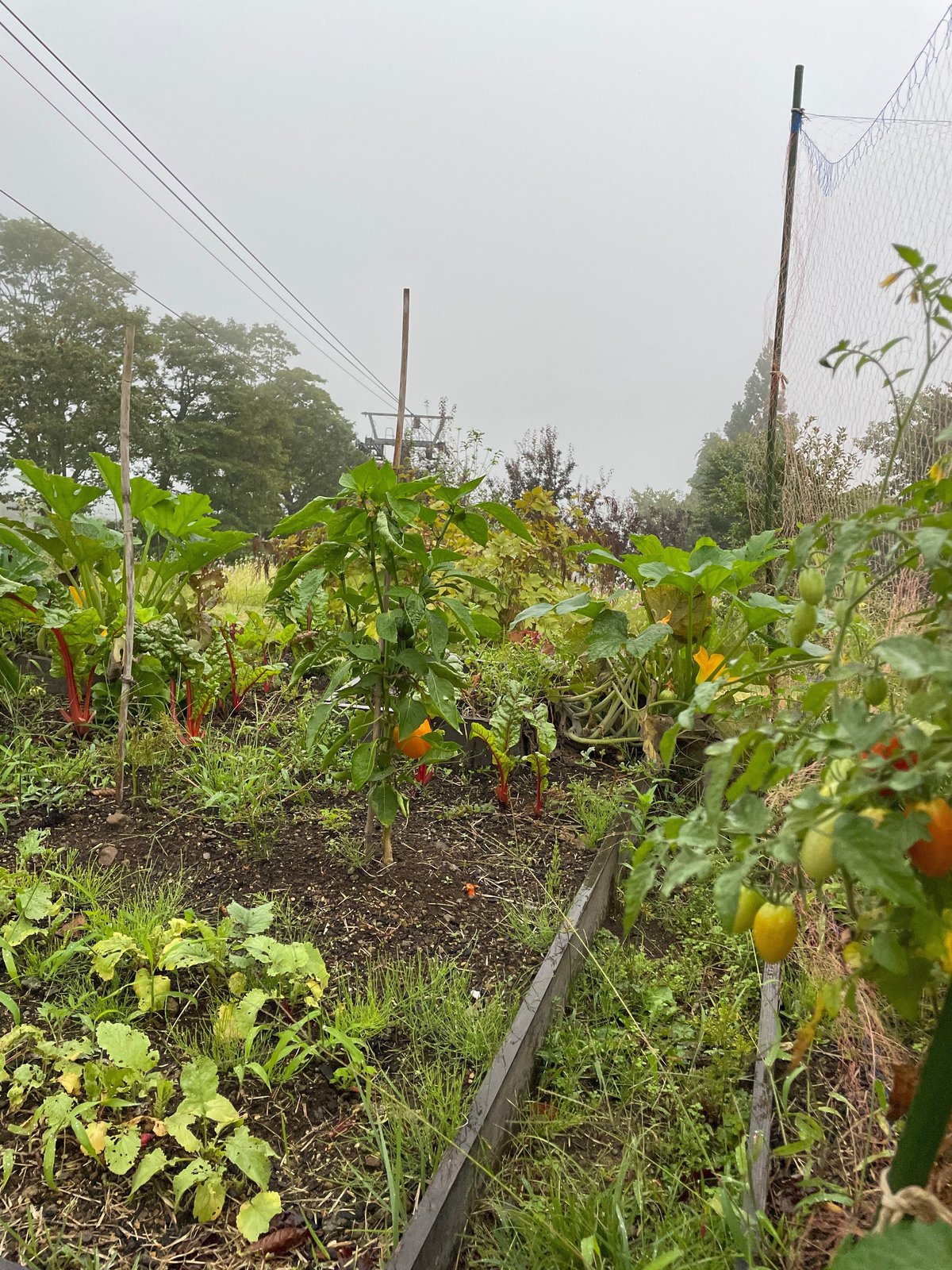 2023.09【新潟】赤倉観光ホテル1日目（SPA&SUITE棟）｜tomomo