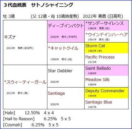 【2025 きさらぎ賞（G3）】～予想篇｜Haya