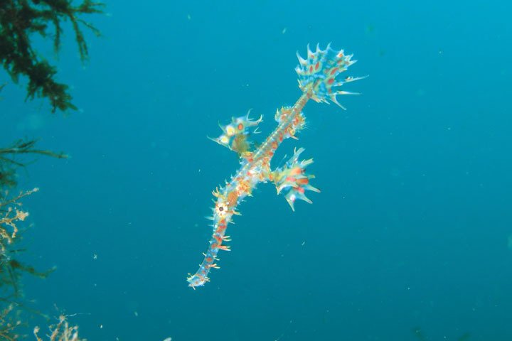 三保真崎、冬の考察｜tetsu takashi