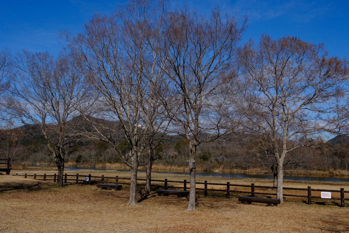 散歩に出かけてフリーズドライ味噌汁を試してみた。｜fold_hama