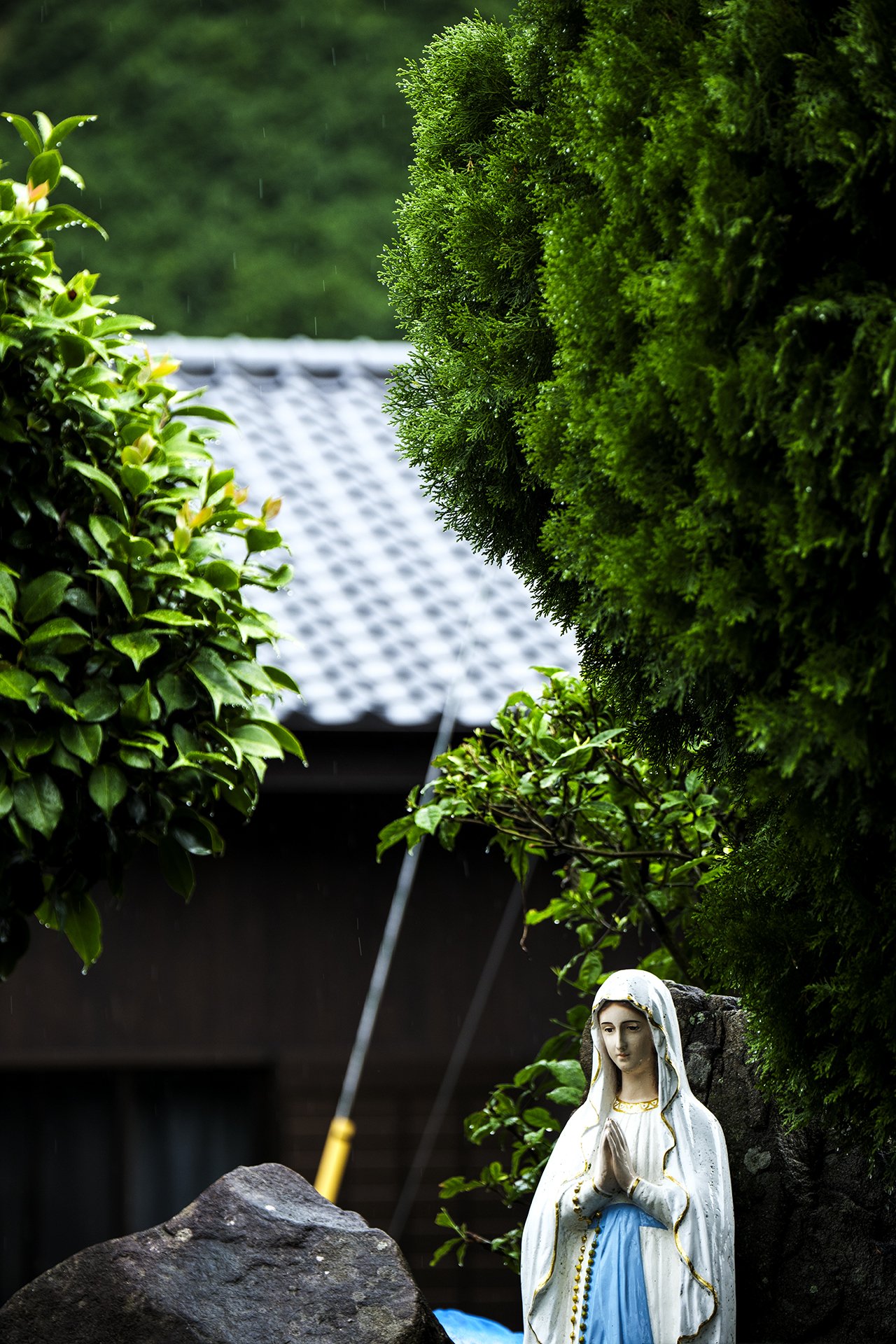 Dialogue With Mary_熊本県_2025｜Dialogue With Mary @shinya-hirose