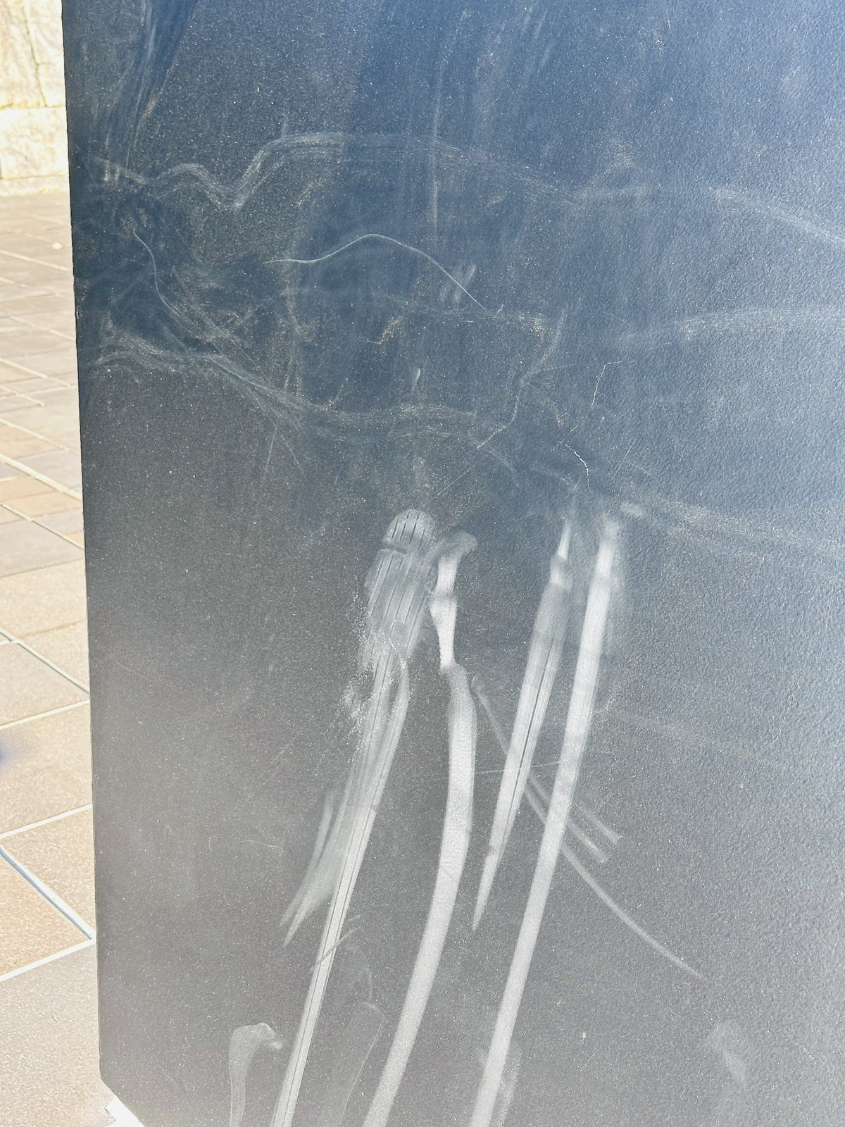 静岡県立美術館『アマリリス』｜Arisa Mitsui