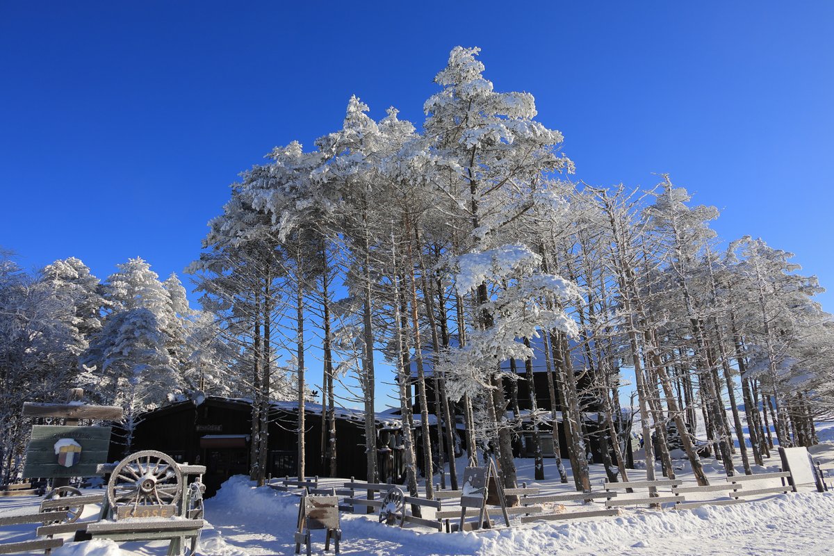 ビーナスの丘の朝｜Toru Shiratori