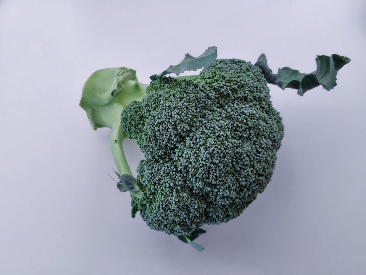 たべることについてのつぶやき 2｜Hiro Oaks / 日々の雑感