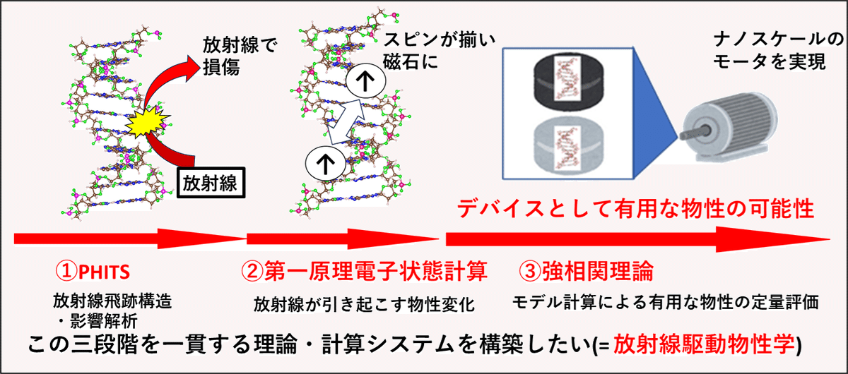 JAEAの先輩職員をご紹介！（研究職）｜日本原子力研究開発機構（JAEA）