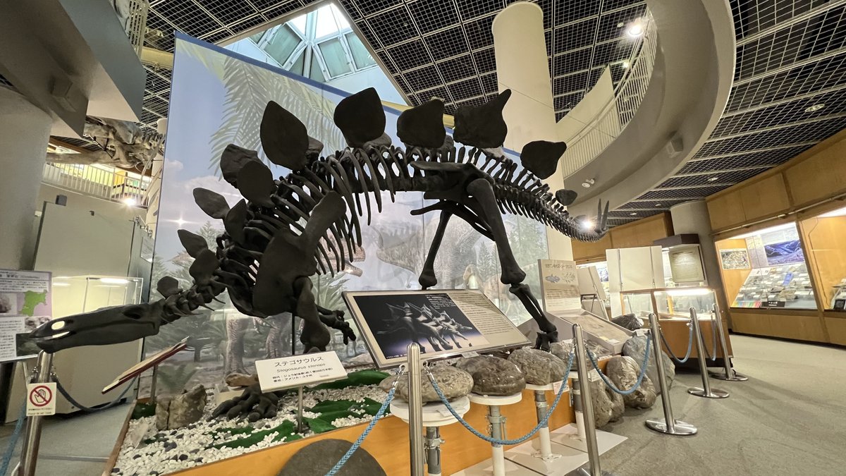 Loople Sendai offers the best deals on sightseeing tours in Sendai! In-Depth Tour by Bus Stop “⑧ ...