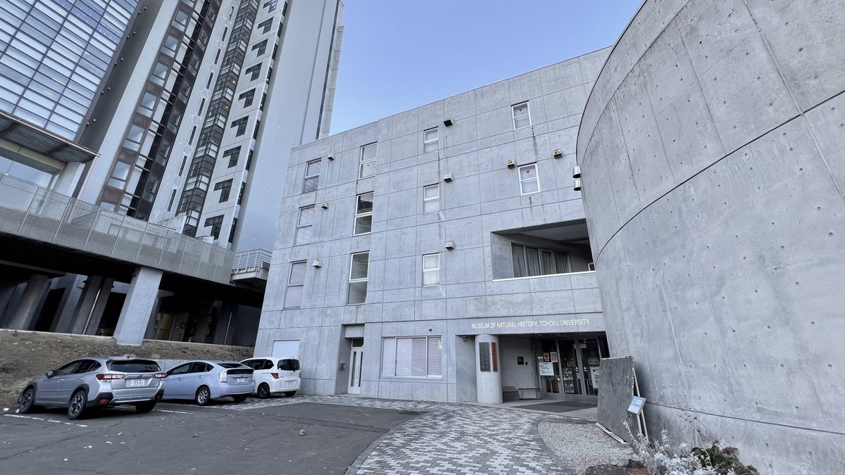 Loople Sendai offers the best deals on sightseeing tours in Sendai! In ...