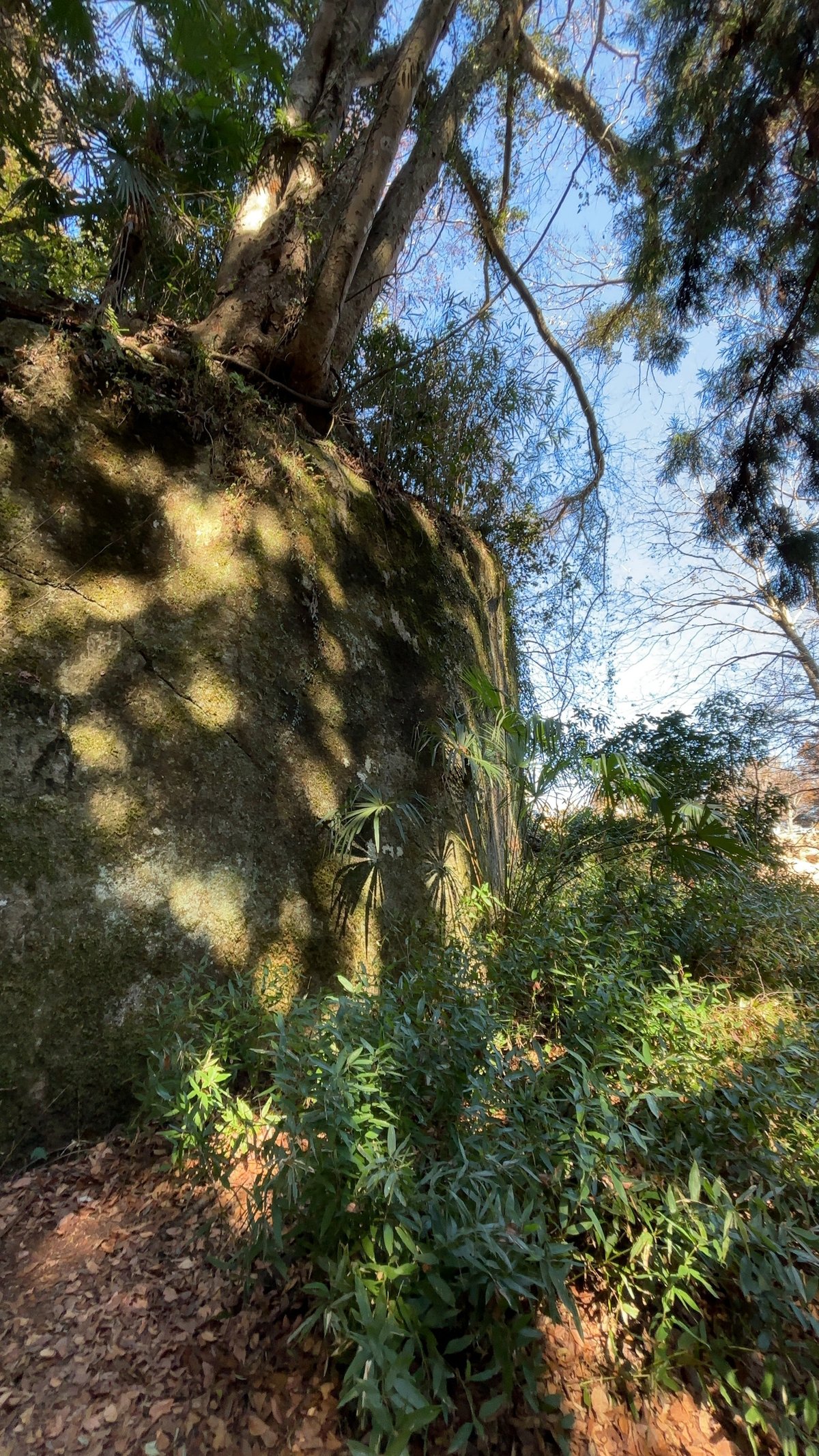 石老山 （2025.02.15）｜Seiichiro@