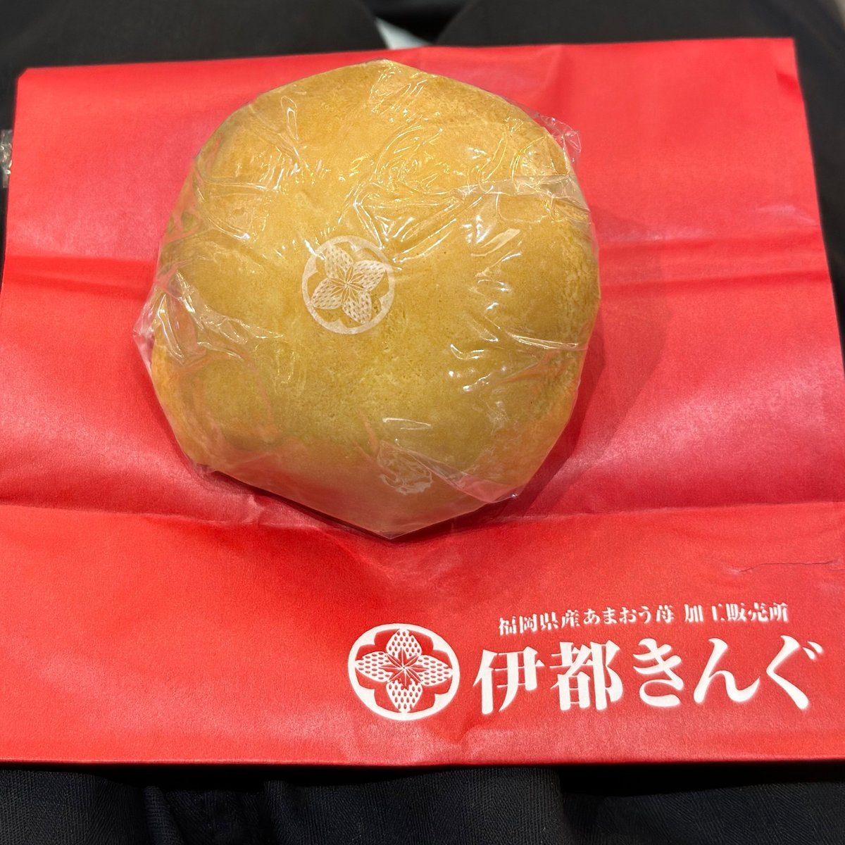 【ネ タ バ レ】【ライブメモ】tacica tour "AFTER GOLD" 2025.02.09 福岡INSA FUKUOKA｜snview