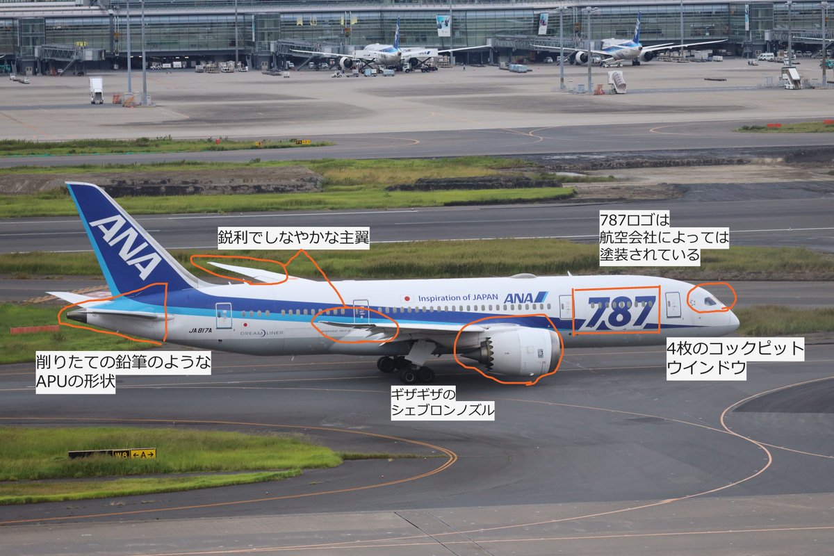 ドしろーとでもわかる飛行機の見分け方 ーBoeing787編ー｜nasujin