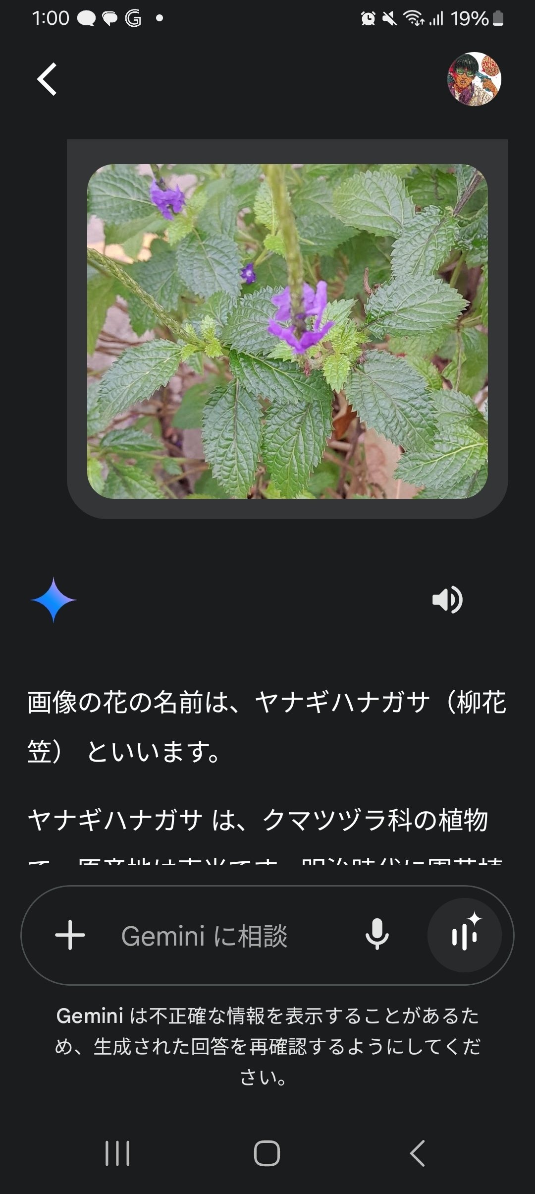 旧正月とAIネイティブ世代｜Ryoma Maeda