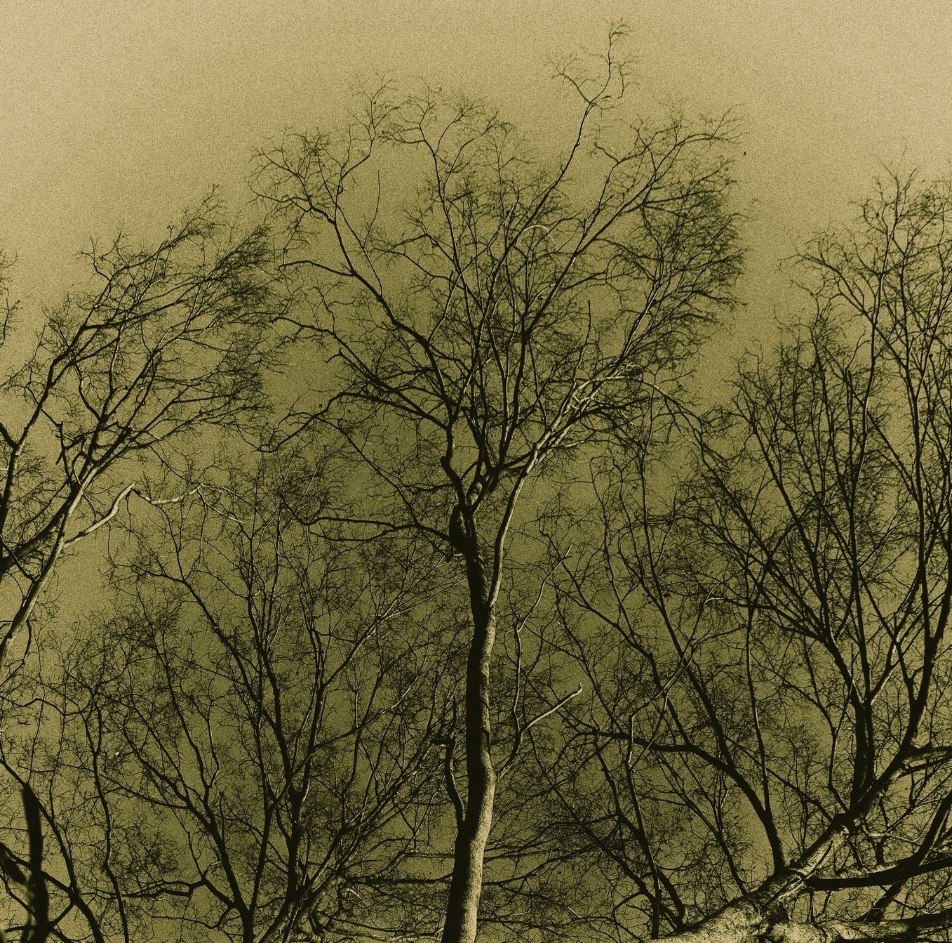 写真｜町本修一（Shuichi Machimoto）