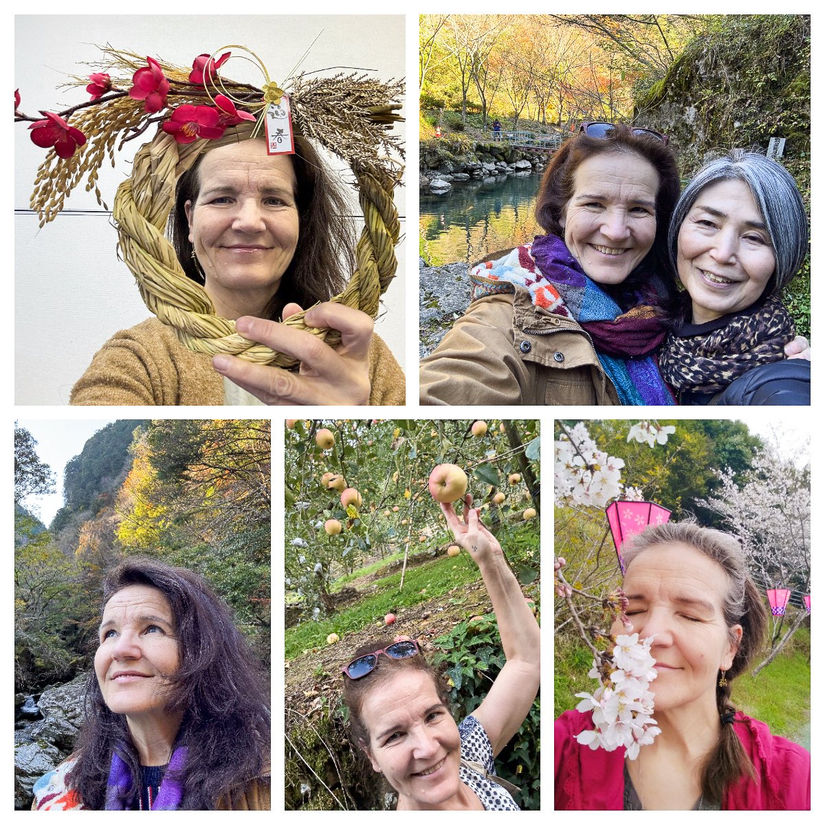 My new life in Japan, Tosacho!｜高知県 土佐町公式・Tosa-cho, Kochi, Japan