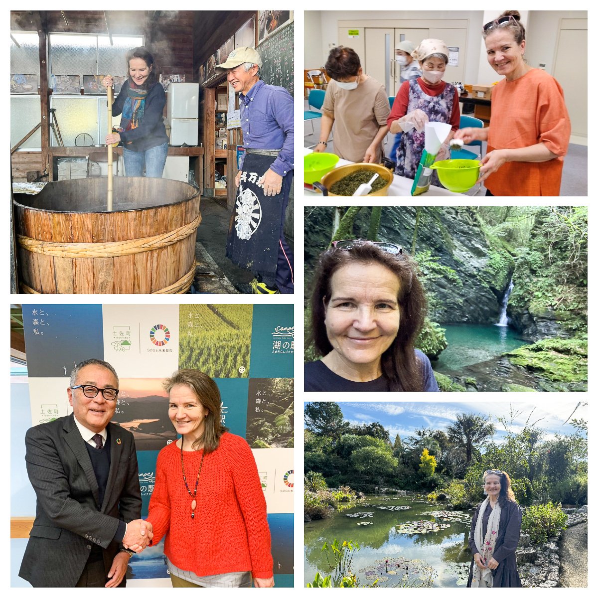 My new life in Japan, Tosacho!｜高知県 土佐町公式・Tosa-cho, Kochi, Japan