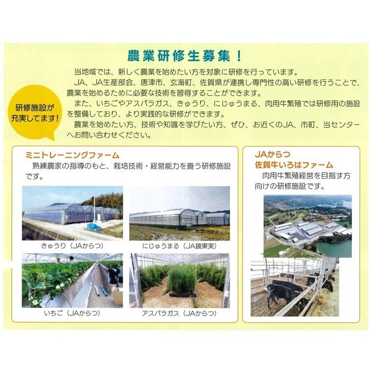 東松浦農業振興センターの普及だより「まつら」No.98｜公益社団法人佐賀県農業公社